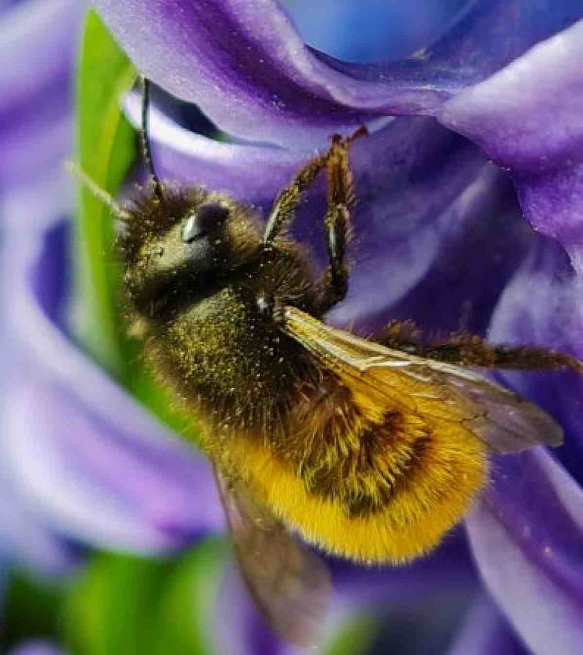 Keressük június hónap fényképét! - Szada.hu